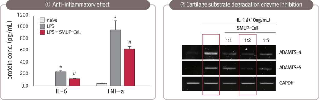 SMUP-IA-01 – MEDIPOST
